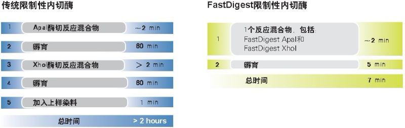 Thermo Scientific Fermentas FastDigest快速酶--宝林科生物-您-化工仪器网