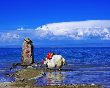 青海（中国西北一省级行政单位） - 搜狗百科